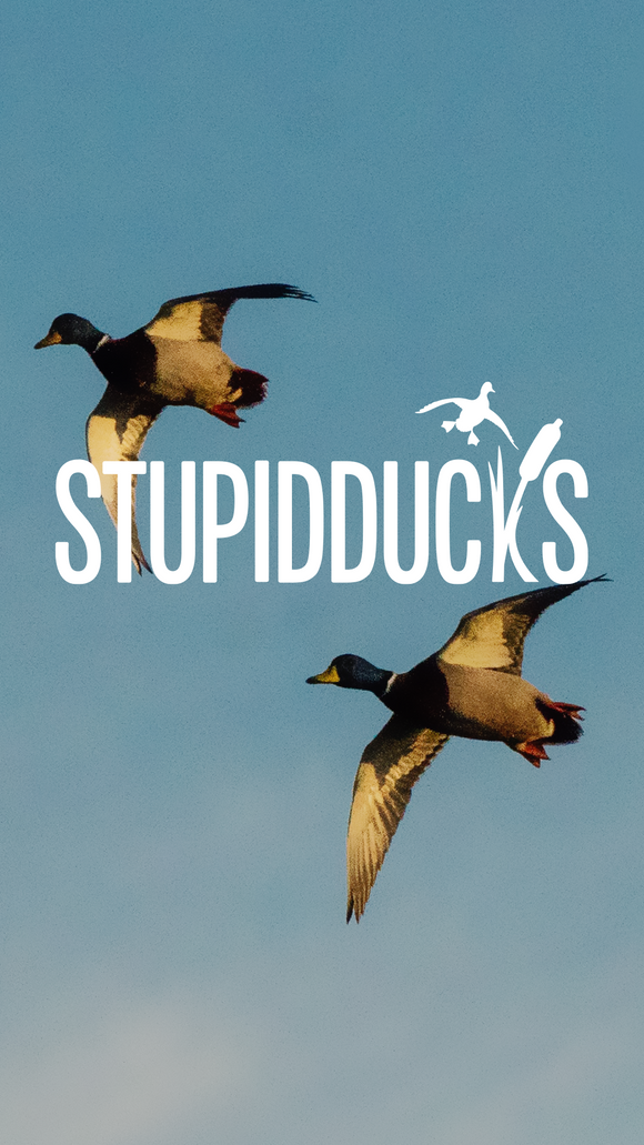 StupidDucks Balloon Decal – StupidOutdoors