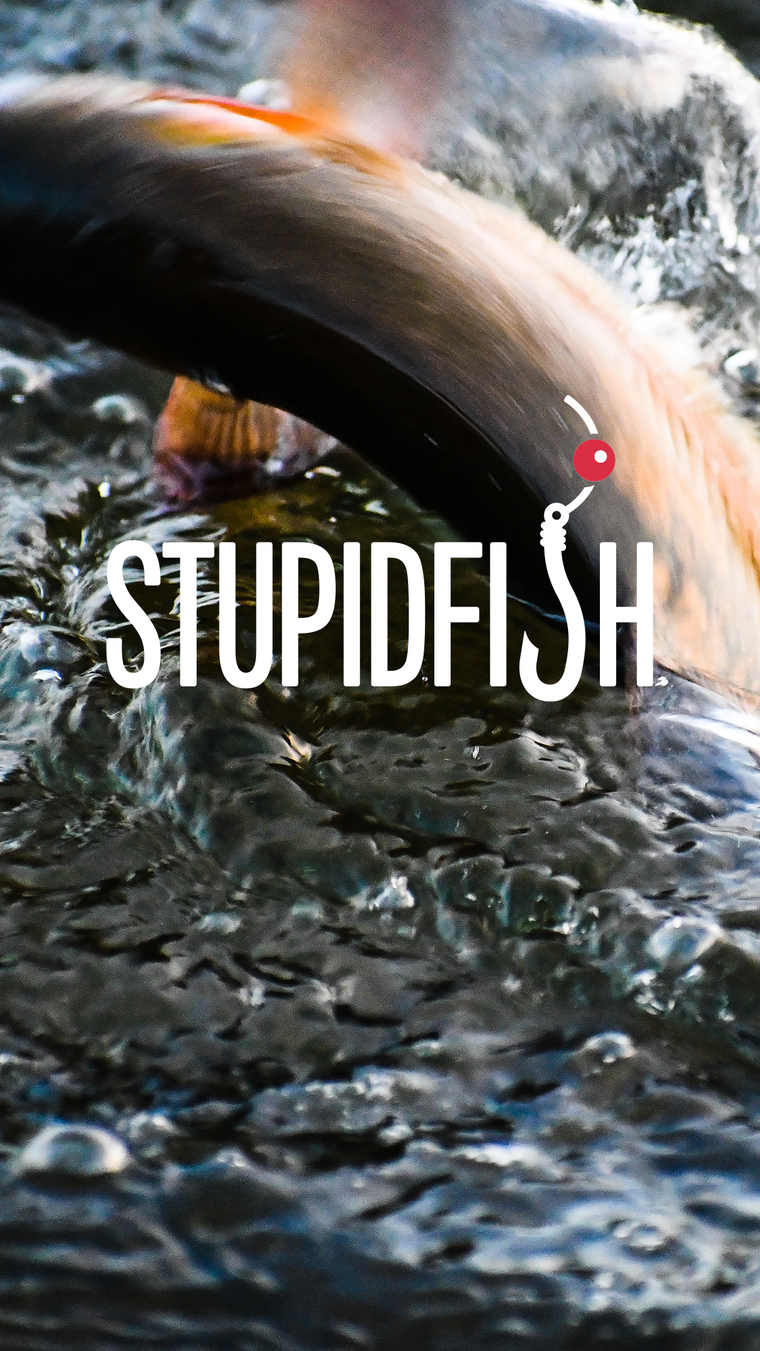 StupidFish FLY Decal – StupidOutdoors